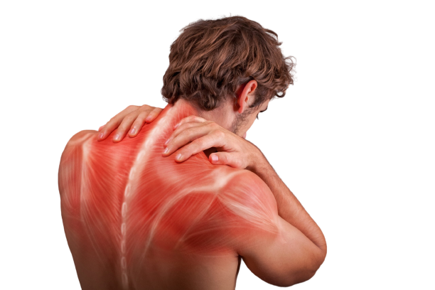 Free-Ease | Plant-Powered Solution For Instant Relief